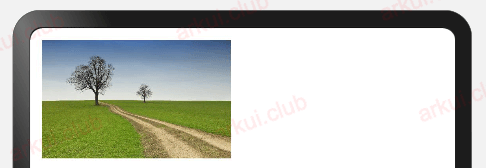 4.3：图片组件 | 《ArkUI实战》